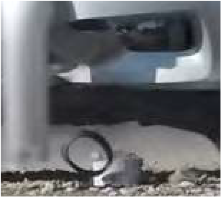 Signfix Website | Western Australia Chooses Signfix® & Optimast® for ...